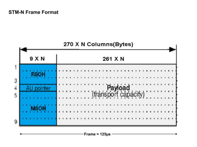 SDH_Frame_Structure.ppt | Computer Networking | Computing
