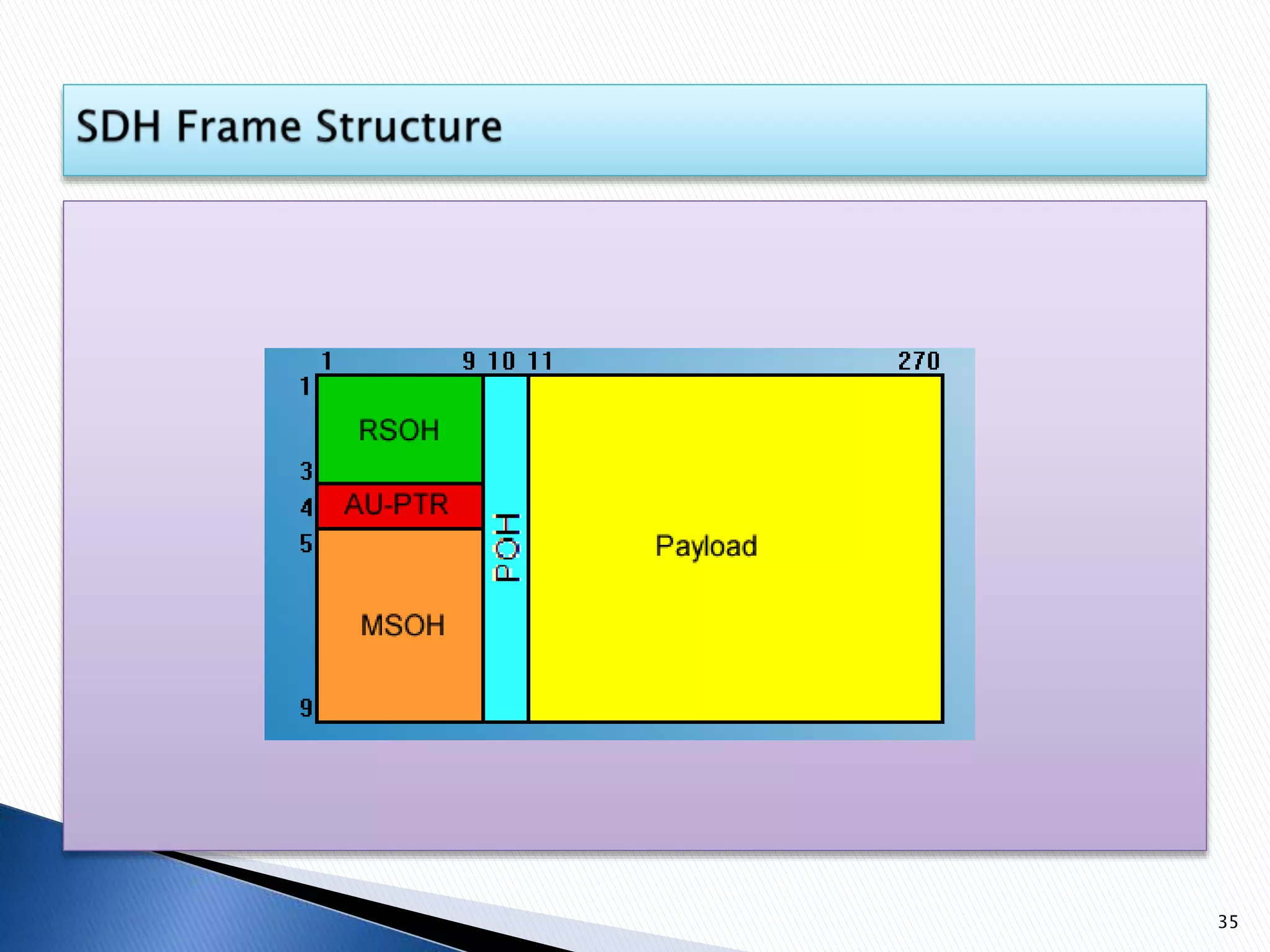 SDH presentation | PPTX