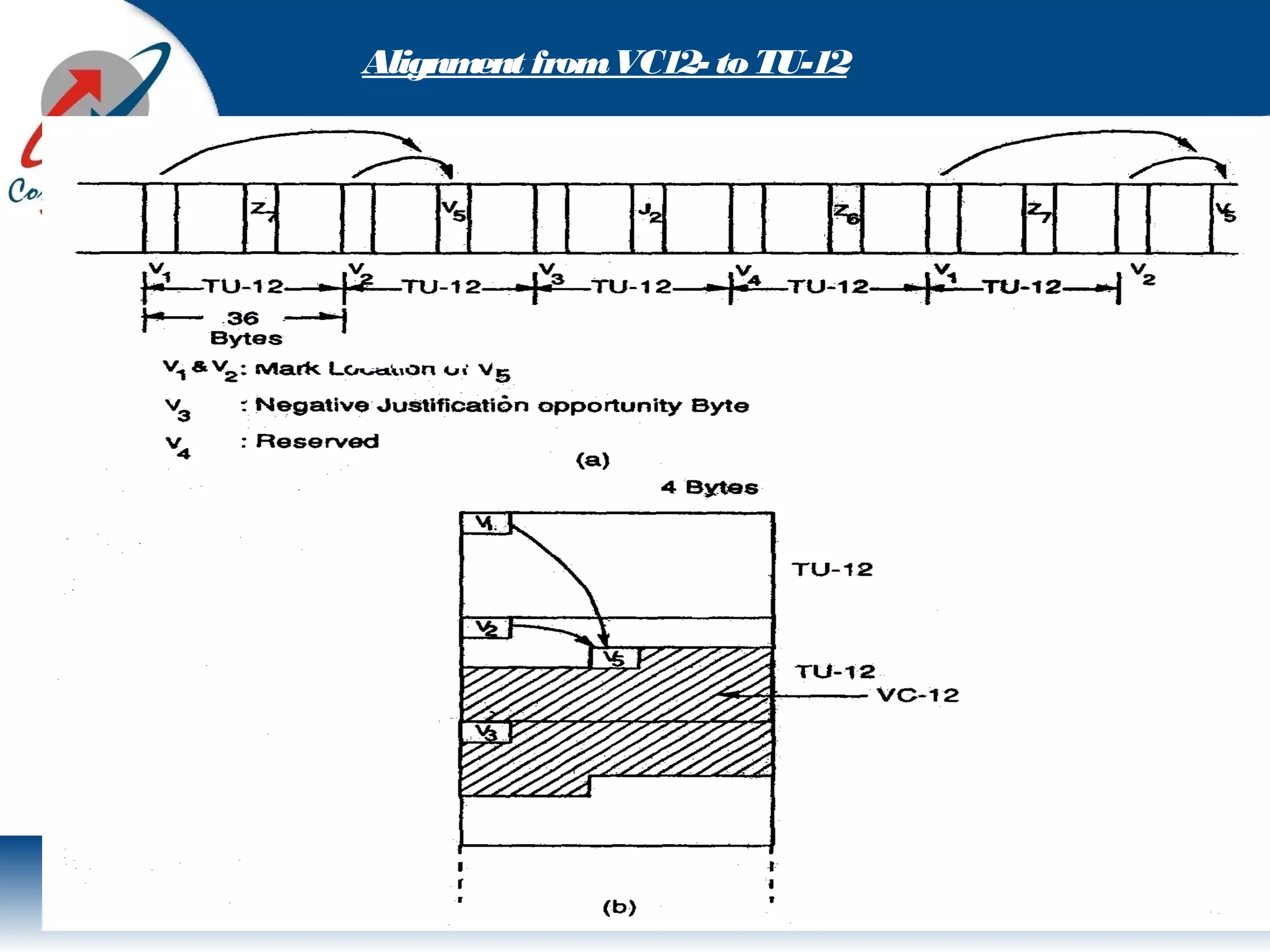SDH MAPPING AND MULTIPLEXING | PPT | Programming Languages | Computing