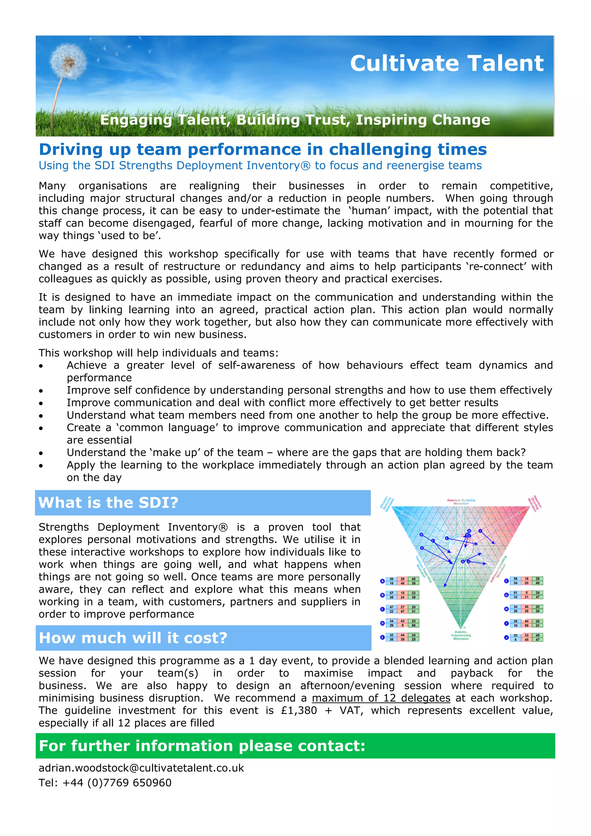 SDI Team Performance | PDF