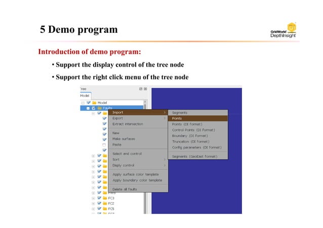 DepthInsight Sdk introduction | PDF