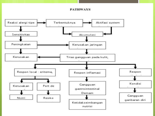 Sdki, slki, siki keb rasa aman nyaman patologis system integument imun ...