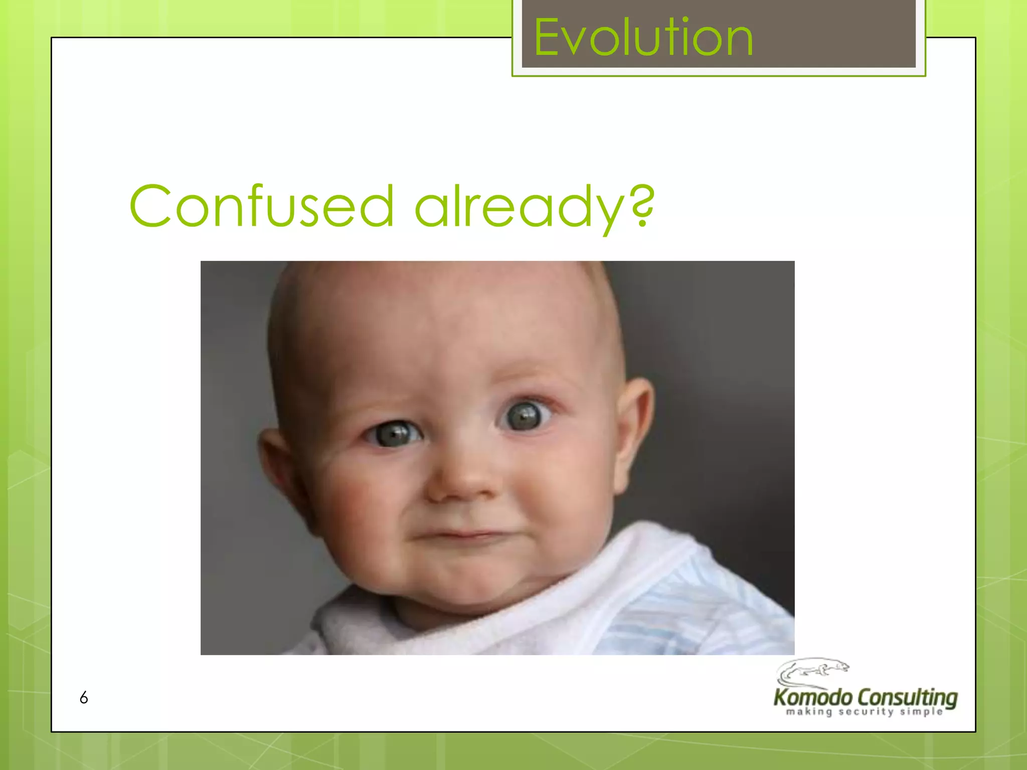 Security In The Development Lifecycle Lessons Learned Ppt