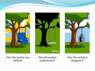SDLC 101 Cartoon | PDF | Technology & Computing