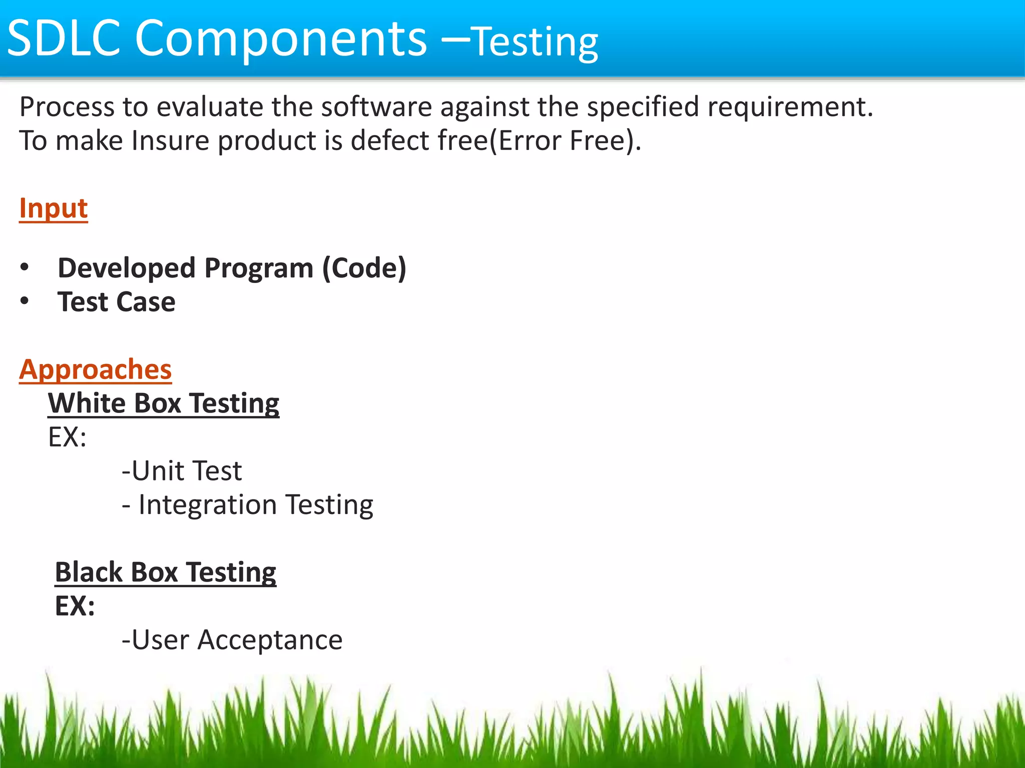 Software Development Life Cycle (SDLC) | PPTX