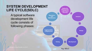 Software/System Development Life Cycle | PDF