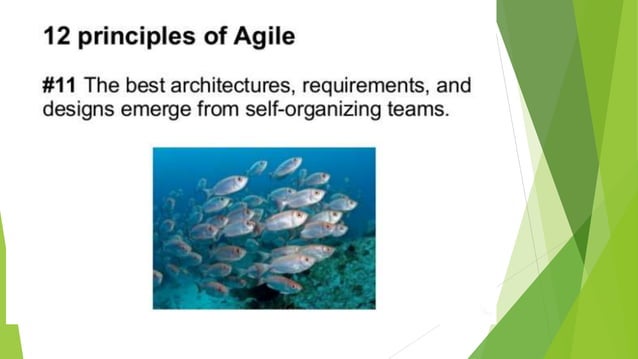 SDLC, AGILE SCRUM JIRA.pptx