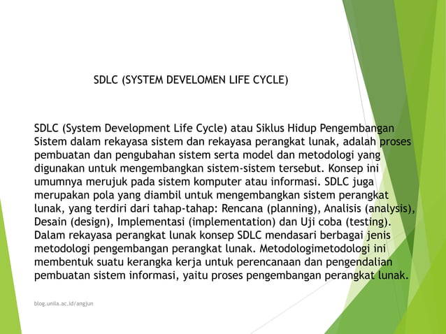 SDLC dan DBLC Ppt.ppt