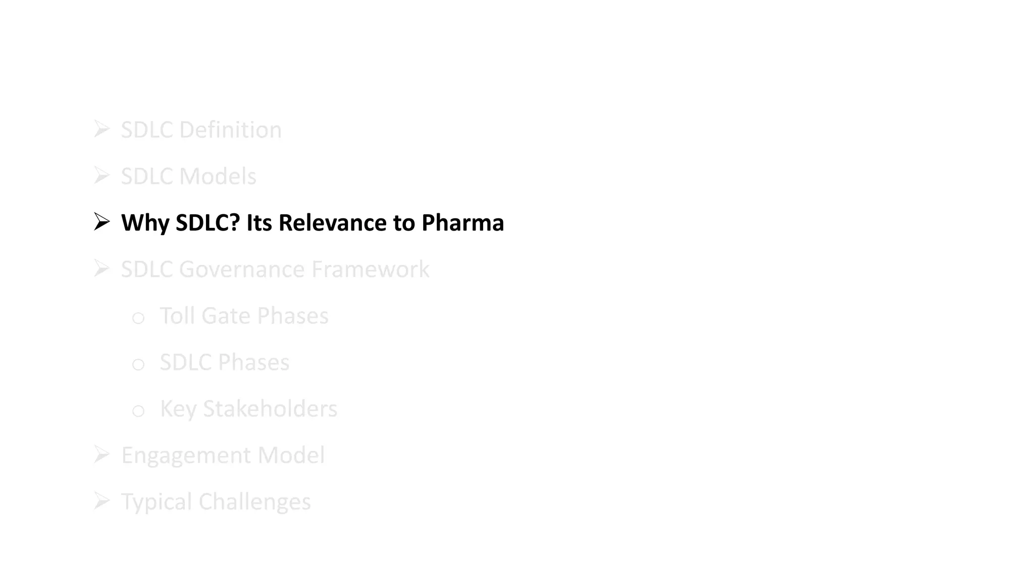 SDLC Process_Document.pptx
