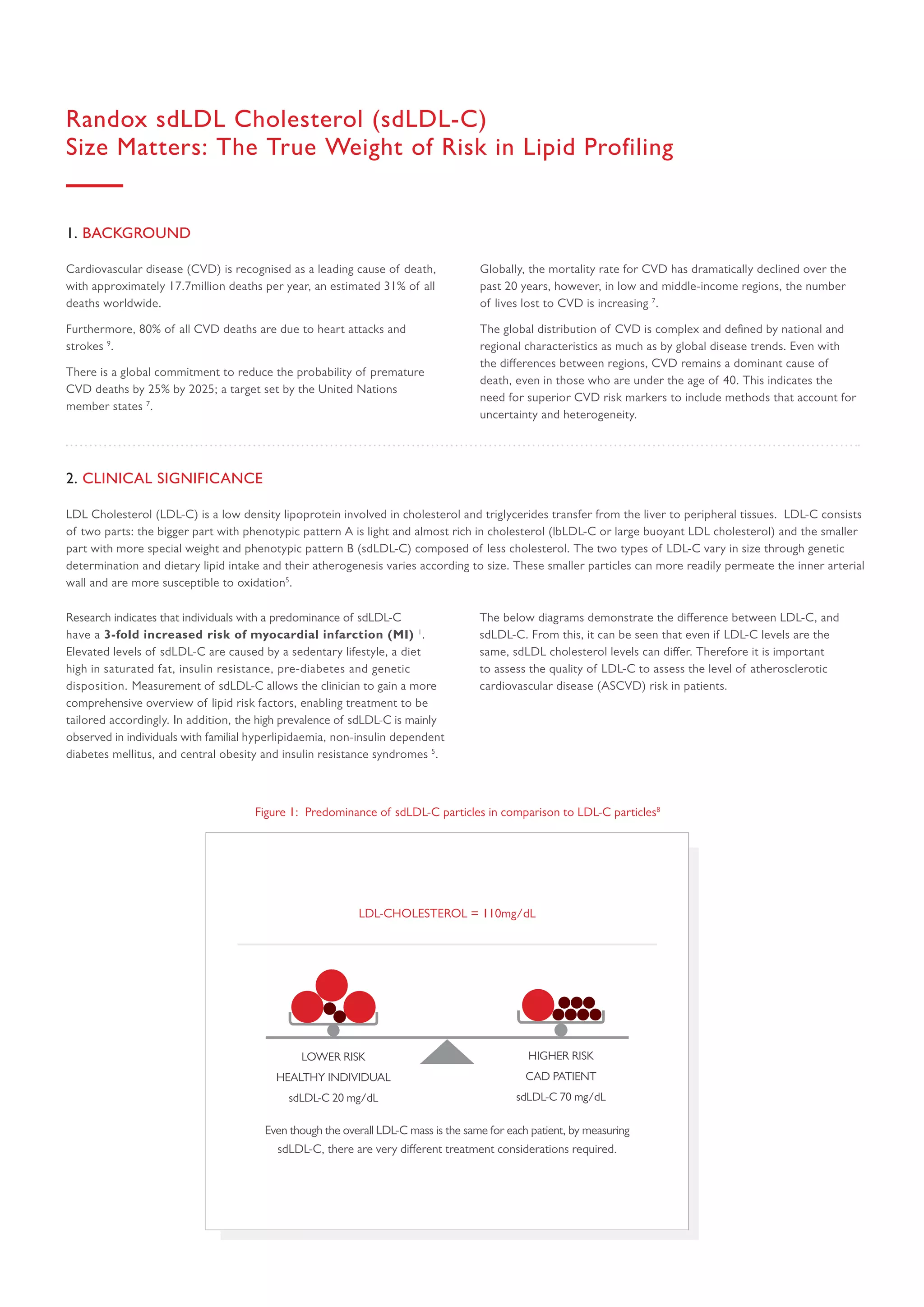 sdLDL-C - Size Matters: The True Weight of Risk in Lipid Profiling MAY19 | PDF