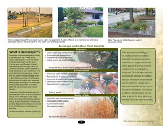 SD: Living Landscapes - A Guide to Native PlantScaping | PDF