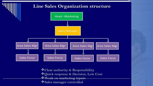 SDM 1.pptx sales distribution management | PPTX
