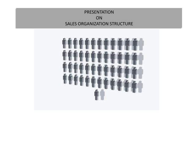 Sales Organization Structure of Maruti suzuki Ltd | PPTX