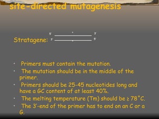 SITE DIRECTED MUTAGENESIS.HARIS | PPT