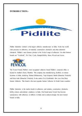 Pidilite Industry | DOCX