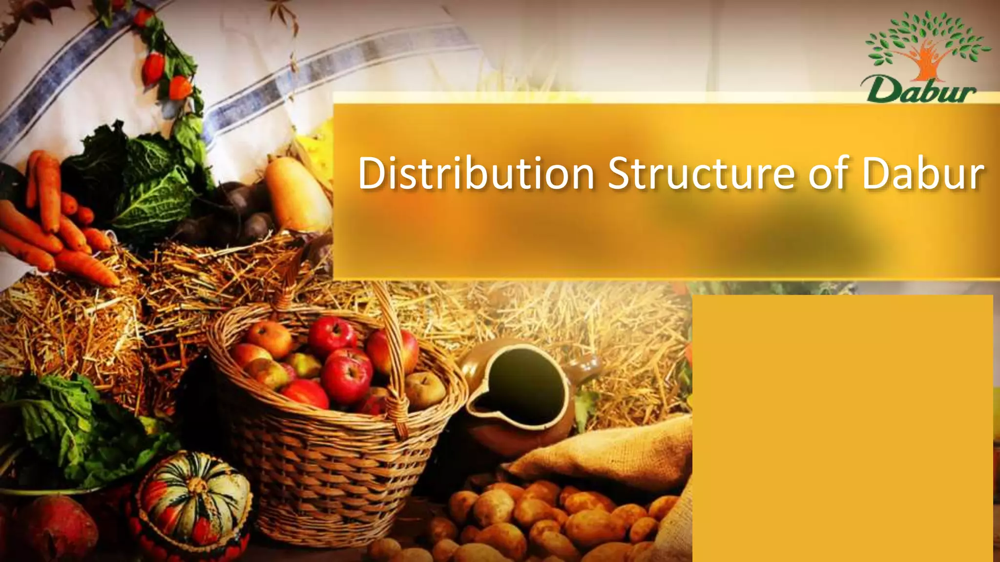 Distribution structure of Dabur | PPTX