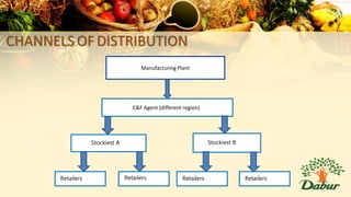 Distribution structure of Dabur | PPTX