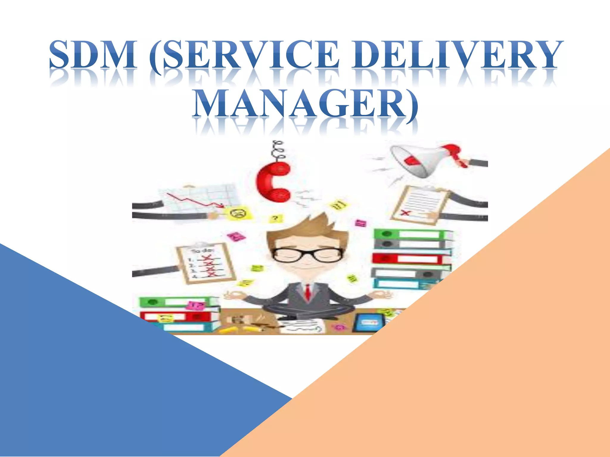 Sdm pdf | PDF | Business Administration | Business