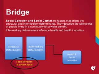 SDoH-presentation-JP-AR.pptx