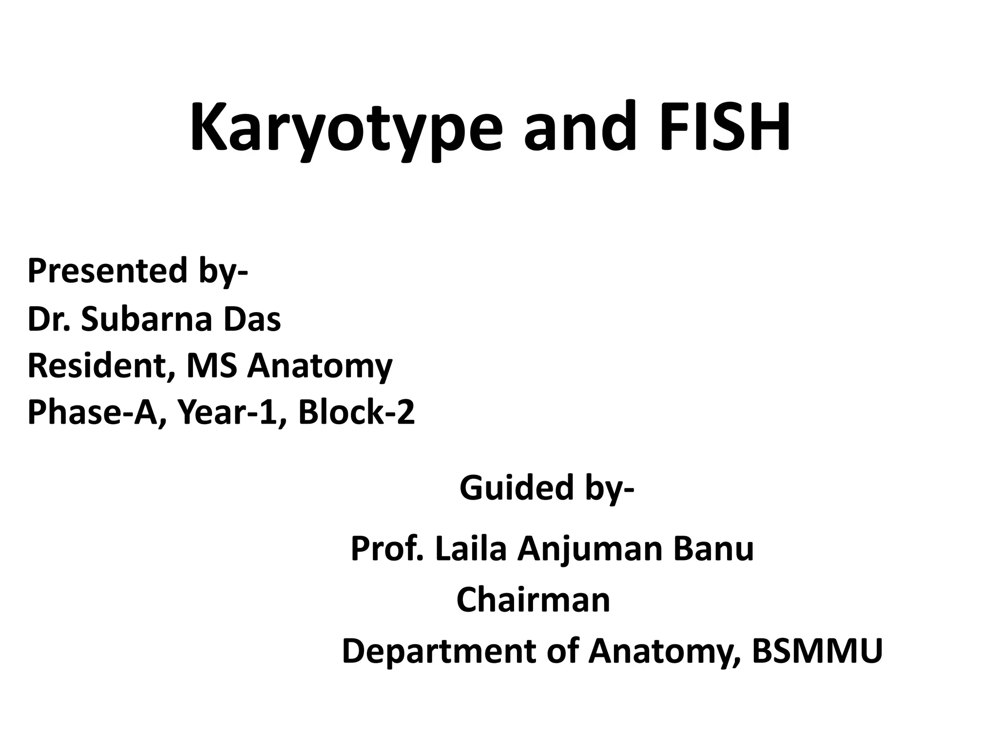 Karyotype and FISH | PPTX