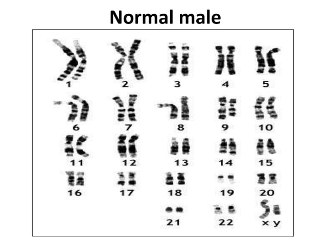 Karyotype and FISH | PPTX