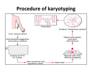 Karyotype and FISH | PPTX