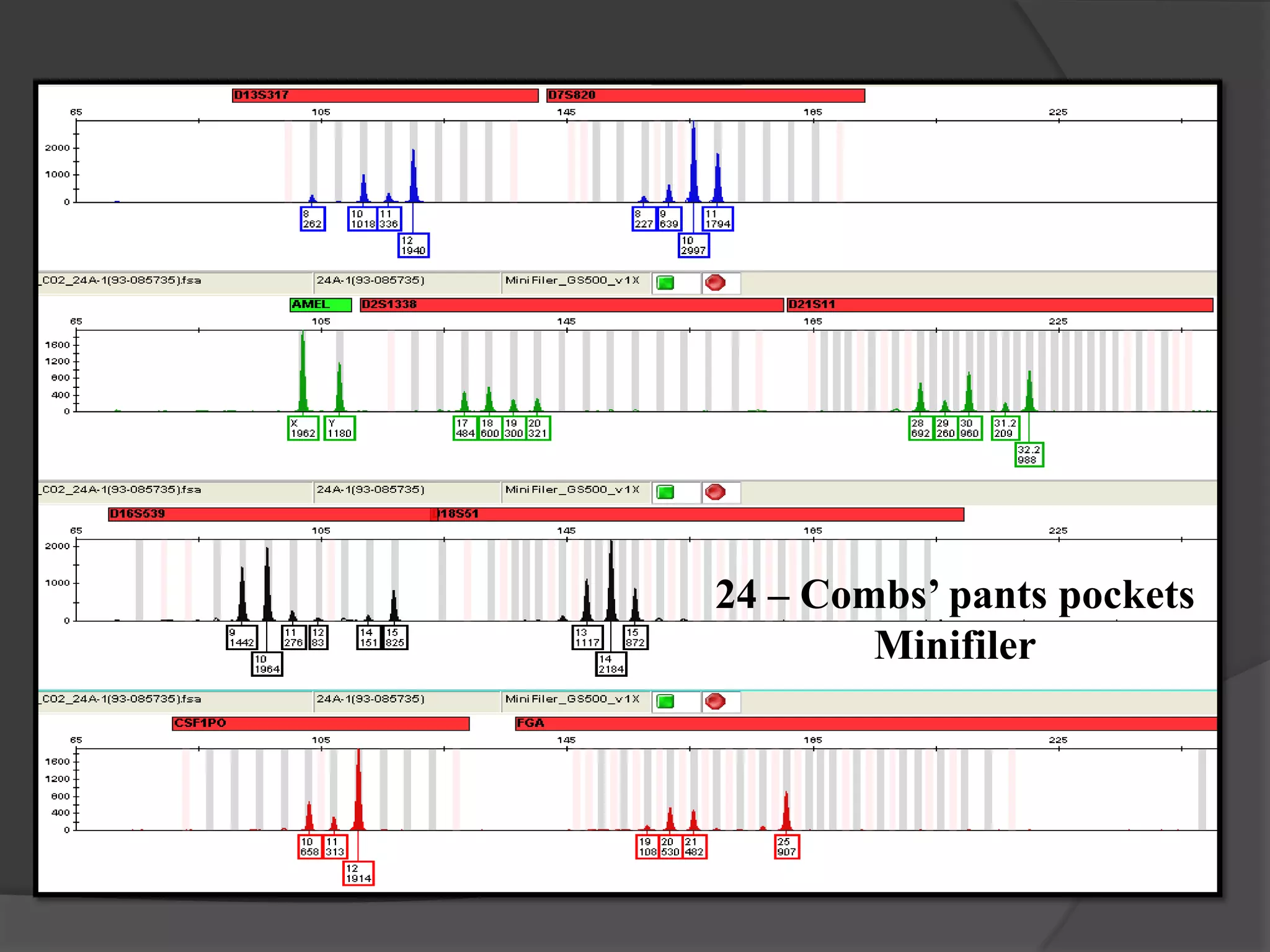 Using MiniFiler™ to Solve a Cold Case Homicide | PPT