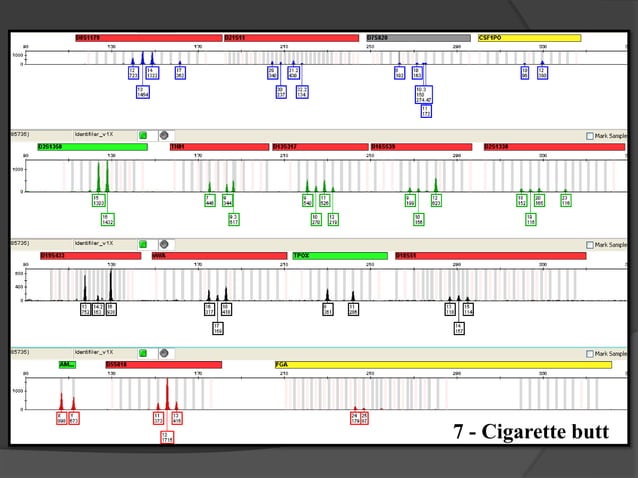 Using MiniFiler™ to Solve a Cold Case Homicide | PPT
