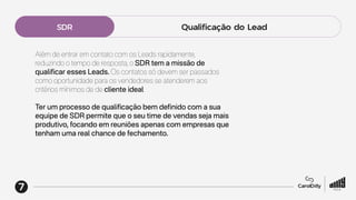 SDR - O que é, importância e atribuições (1) (1).pdf