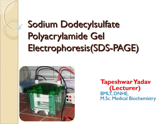 SDS-PAGE | PPT | Chemistry | Science