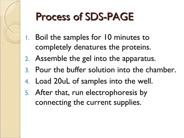 SDS-PAGE | PPT | Chemistry | Science