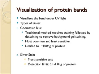 SDS-PAGE | PPT