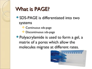 SDS-PAGE | PPT