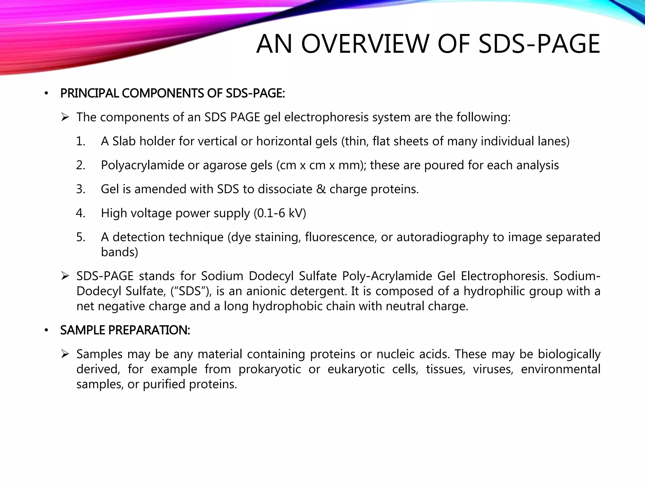 Introduction, Principle, Instrumentation and Applications of SDS-PAGE ...
