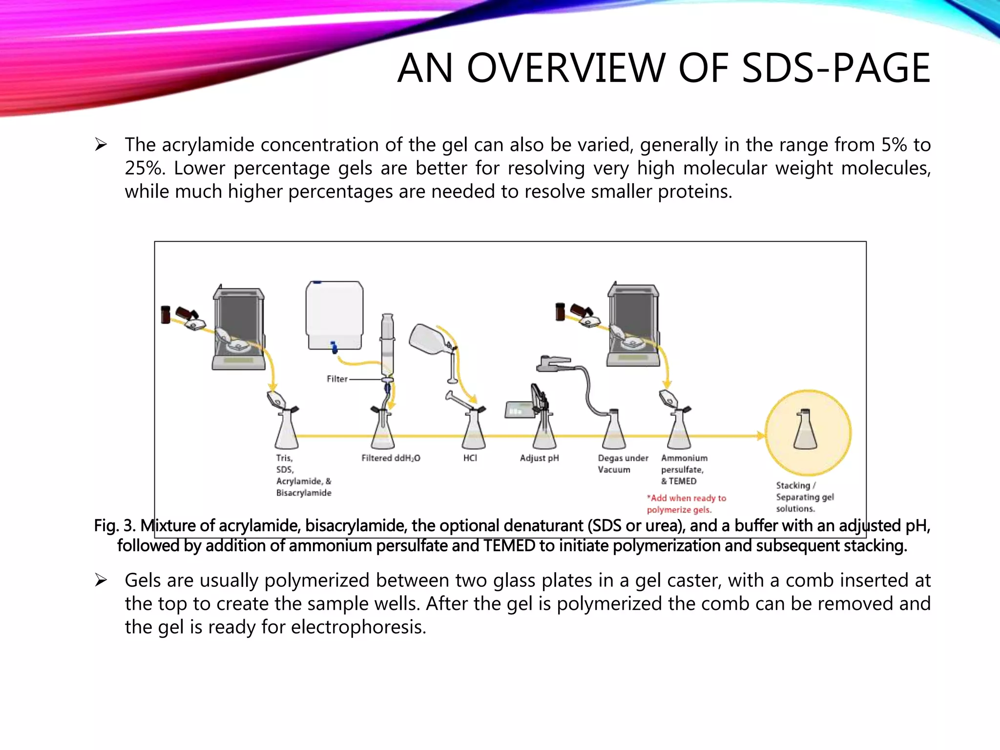 Introduction, Principle, Instrumentation and Applications of SDS-PAGE ...