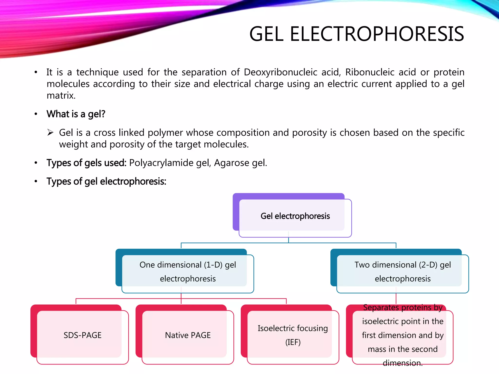 Introduction, Principle, Instrumentation and Applications of SDS-PAGE ...