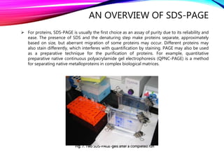 Introduction, Principle, Instrumentation and Applications of SDS-PAGE ...