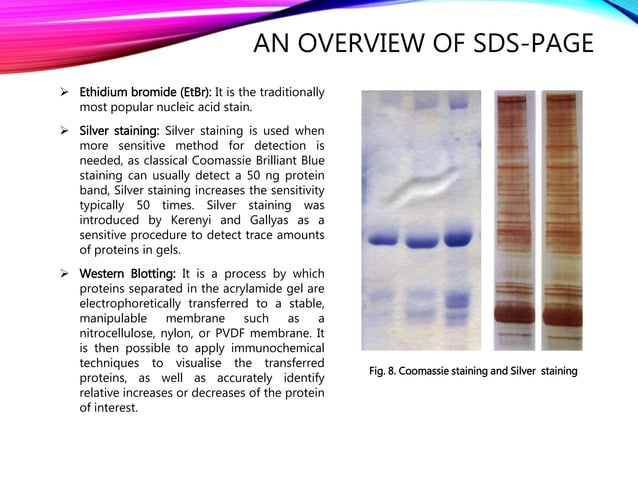 Introduction, Principle, Instrumentation and Applications of SDS-PAGE ...