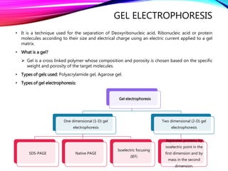 Introduction, Principle, Instrumentation and Applications of SDS-PAGE ...