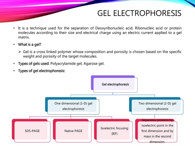 Introduction, Principle, Instrumentation and Applications of SDS-PAGE ...
