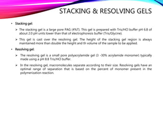 Introduction, Principle, Instrumentation and Applications of SDS-PAGE ...