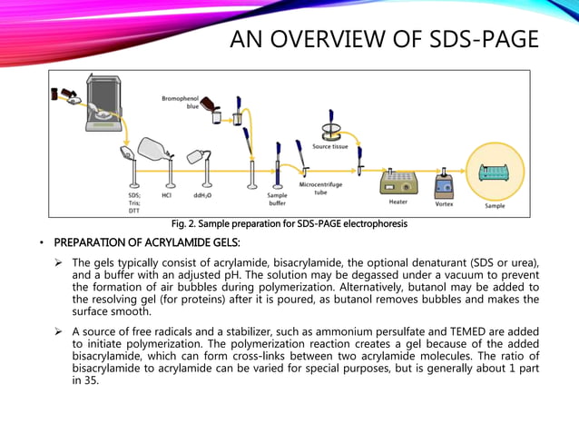 Introduction, Principle, Instrumentation and Applications of SDS-PAGE