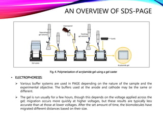 Introduction, Principle, Instrumentation and Applications of SDS-PAGE