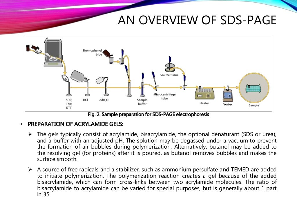 Introduction, Principle, Instrumentation and Applications of SDS-PAGE