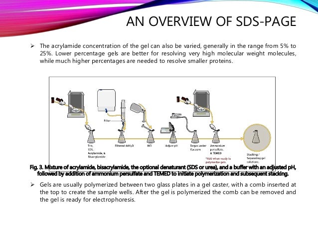Introduction, Principle, Instrumentation and Applications of SDS-PAGE