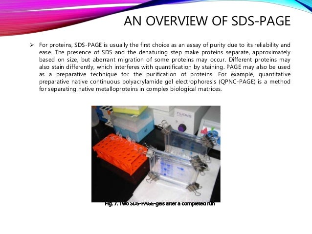 Introduction, Principle, Instrumentation and Applications of SDS-PAGE