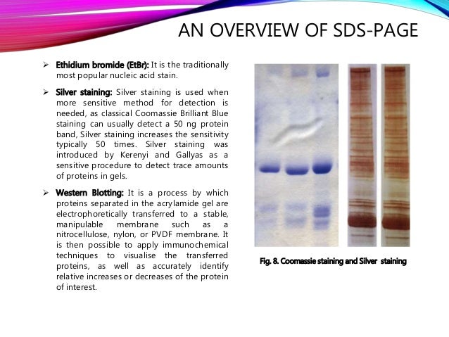 Introduction, Principle, Instrumentation and Applications of SDS-PAGE