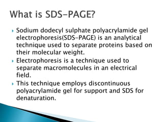 SDS-PAGE Electrophoresis: Principle, Application,, 44% OFF
