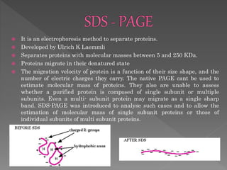 ELECTROPHORESIS AND SDS PAGE ELECTROPHORESIS | PPTX