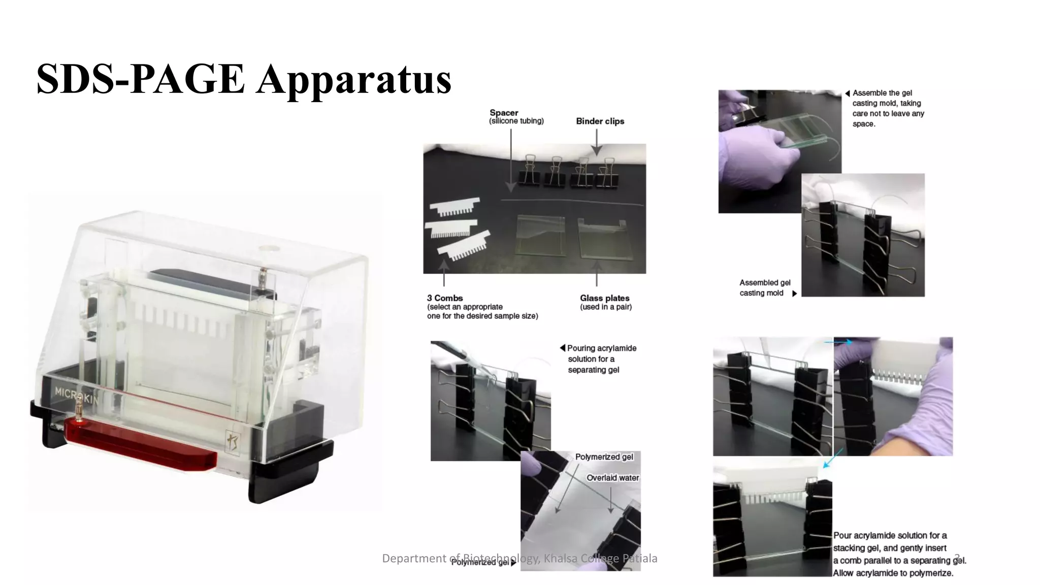 SDS PAGE | PDF
